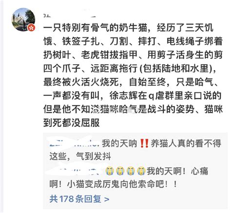 美食网红 杰克辣条”虐猫事件全网发酵，曾因送还烈士照获 阜南好人 称号（无猫图，有虐待手段文字描述，慎点） Rthegreatfirewall