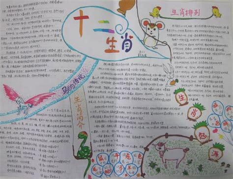 12生肖蛇的手抄报 129手抄报 普车都