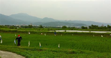 Limei And Yikuangs Trip 【台北】關渡自然公園 農民誌