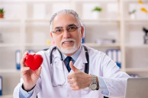 The Aged Male Doctor Cardiologist With Heart Model Image Stock Image