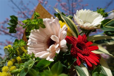 花束を君に♪ By 思い出のマーミー （id：10961049） 写真共有サイトphotohito