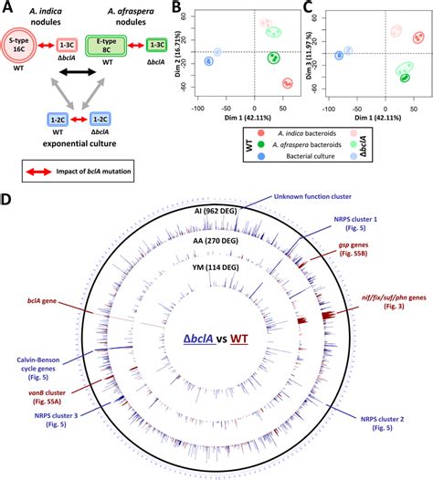 Experimental Setup And General Overview Of The Transcriptome Data Set