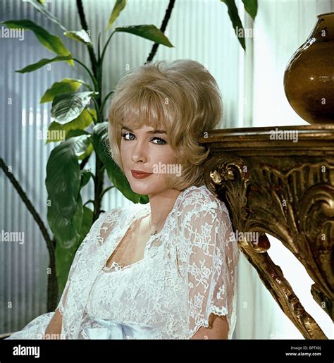 Stella Stevens Actor