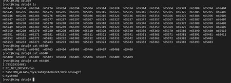 bugwgcf设备文件资源泄露刷ip会导致run udev data磁盘空间占用一直增加 结论 由于其他原因导致非本项目的问题