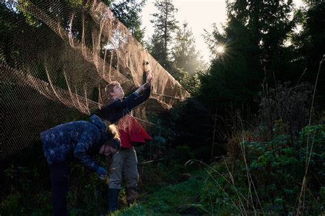 Nikon Zf Field Test Verdict