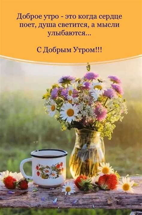 Летние картинки с Добрым утром 70 фото