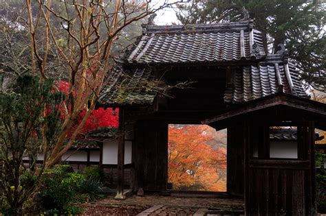 2023紅葉輝く京都 龍穏寺の錦秋後編 花景色K W C PhotoBlog