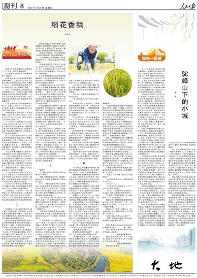 人民日报 人民网