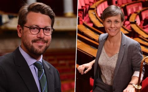 Grand remplacement deux députés NUPES déposent une proposition de