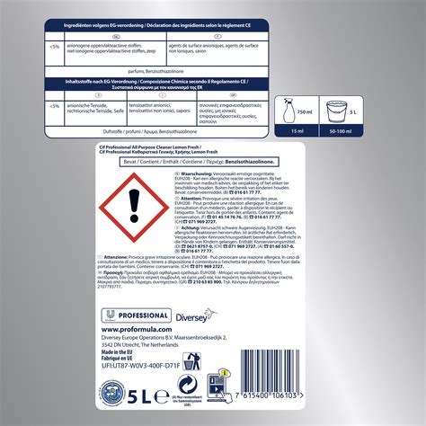 Cif Professional Allzweckreiniger Zitrus