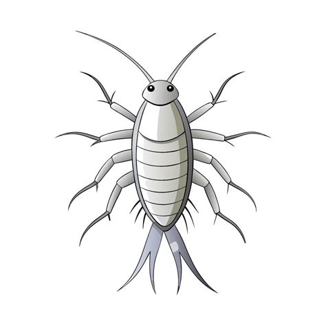Cute Silverfish Character For Fun Learning 58981577 Vector Art At Vecteezy