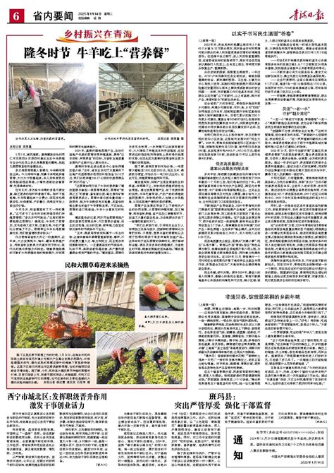 青海日报数字报 2025年01月14日 第6版：省内要闻