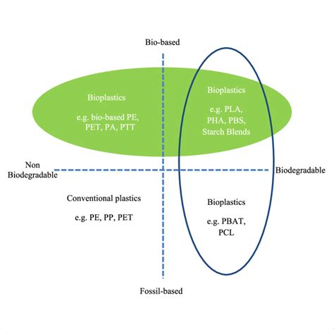 Classification Of Biodegradability Of Common Bioplastics European