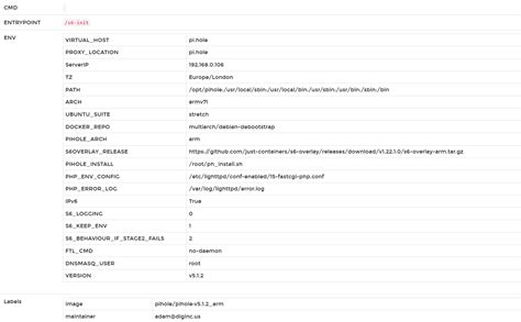 Cant Start Pihole On Docker On Raspberry Pi W Pihole