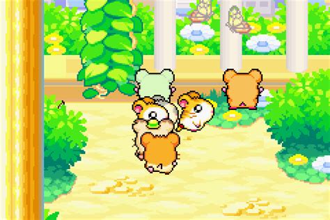 Hamtaro Rainbow Rescue Part 8 Slipping Back To The SNES
