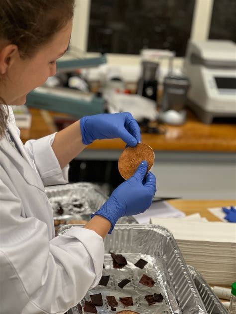 Sapro Tech On Linkedin The Sapro Tech Team Are Hard At Work In Our Parnell Laboratories Creating…