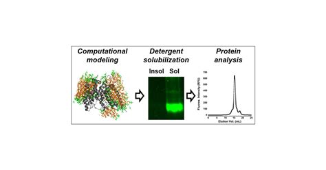 Combined Computational Biochemical Approach Offers An Accelerated Path To Membrane Protein