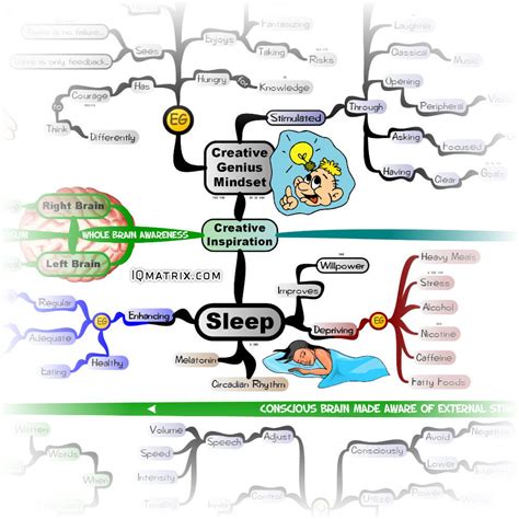 Sleep And Energy Cycles Mx MasterMind Matrix