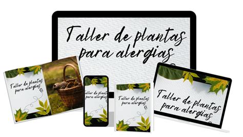 Taller De Plantas Para Las Alergias • Tisanas De Mi Abuela