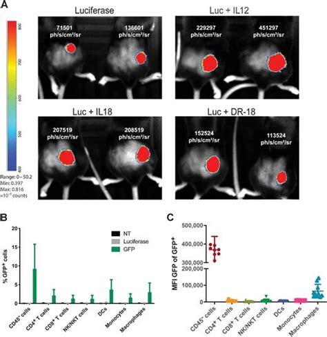 Intratumoral Gene Transfer Of Mrnas Encoding Il12 In Combination With