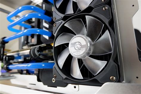 Zeaginal 01 » builds.gg