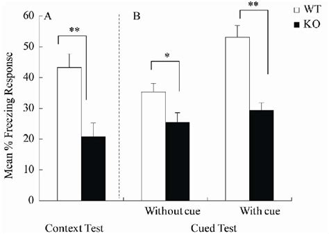 Summary Of Contextual And Cued Fear Memory Performance Of Wild Type Download Scientific Diagram