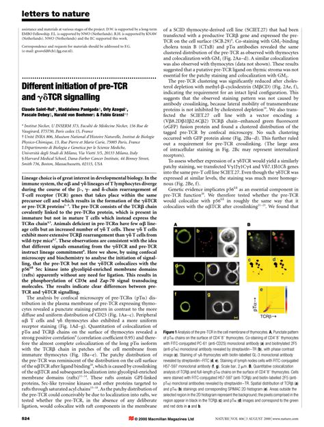 Pdf Different Initiation Of Pre Tcr And γδtcr Signaling