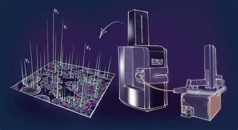 Clinical Proteomics Mann University Of Copenhagen