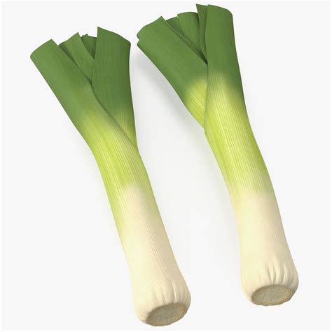 Cleaned And Cuted Leeks 3d Model 33 3ds Blend C4d Fbx Max Ma Lxo Obj Free3d