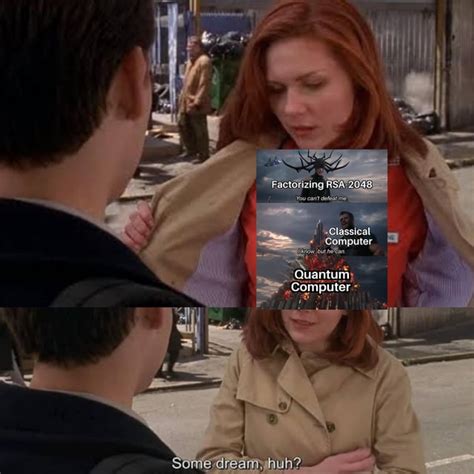 shor algorithm r quantummemeology