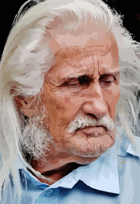 Low Fidelity Vecotrisation Sycosure