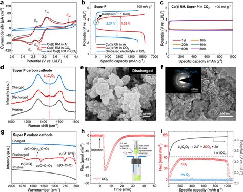 Electrochemical Performance Cathode Characterization And Co2