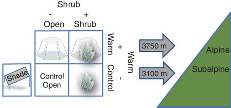 Schematic Of The Experimental Design With Four Replicate Plots Of Each