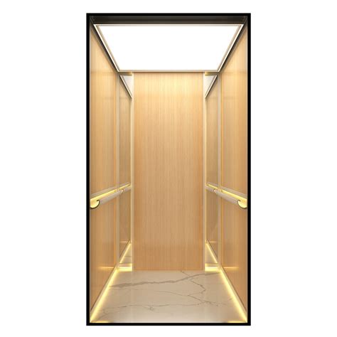 Small Sized Villa Home Lift Ce Iso Approved 0 4m S Factory Price