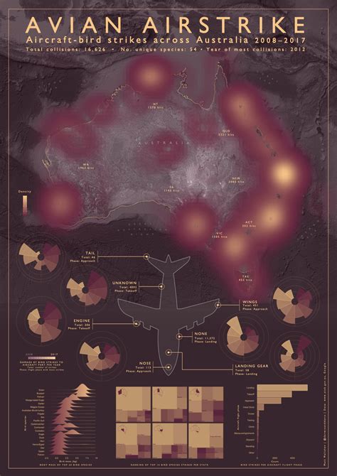Infographics Matt Malishev