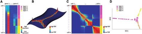 Schematic Overview Of Diffusion Maps Embedding A The N Â G Matrix Download Scientific