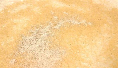 What Is A Yeast Propagation System And How It Is Used In Brewing Micet Group