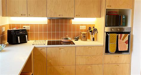 Plywood Cabinet Doors Transitional Cabinet Door Styles Taylorcraft