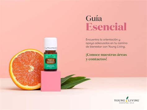 Guía Esencial 2024 By Young Living México Issuu