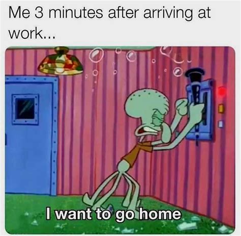 I Wanna Go Home Too Mr Squidward R Bikinibottomtwitter