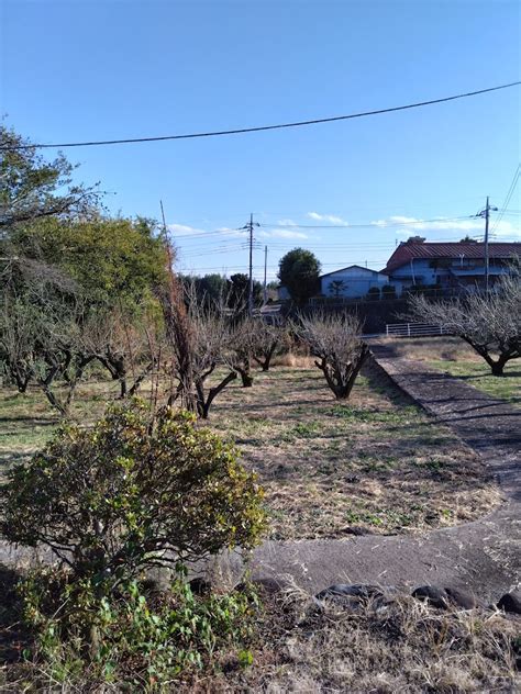 念稱寺 群馬県安中市野殿 仏教寺院 グルコミ