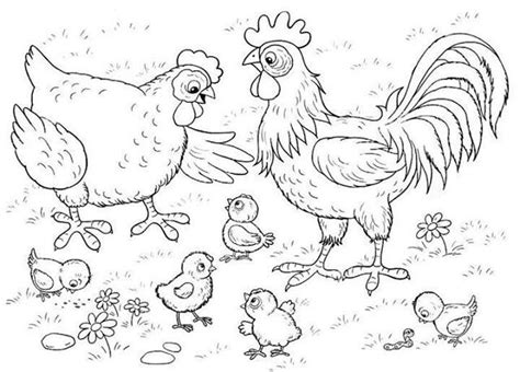 Домашние птицы и животные и их детеныши раскраски Интересный контент в группе