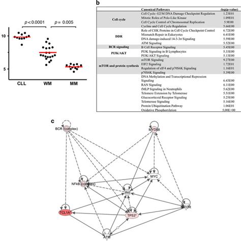 Tcl1a Transcriptomic Expression Comparative Exploration And Biological