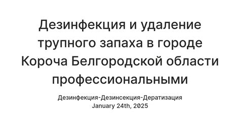 Дезинфекция и удаление трупного запаха в городе Короча Белгородской
