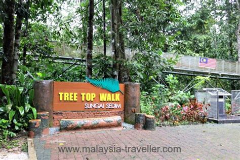 Tree Top Walk Sungai Sedim Kulim Kedah