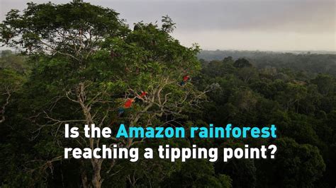 Is The Amazon Rainforest Reaching A Tipping Point Youtube