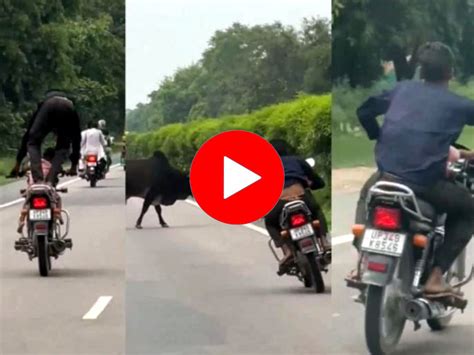 Bike Stunt Viral Video मासूम को बाइक पर बैठाया और बीच सड़क उछल कूद कर