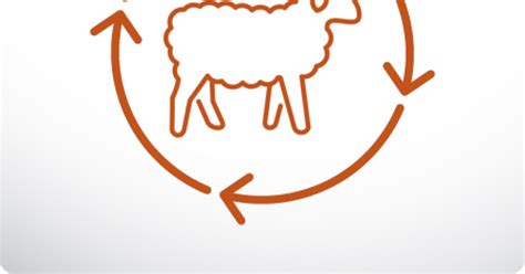 Reproductive Performance In Small Ruminants Alltech