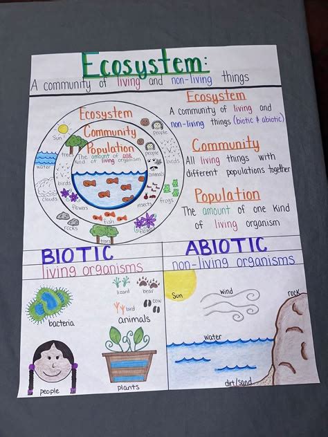 10 Ecosystem Project Ideas Ecosystems Projects Elementary Science
