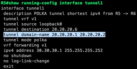 IPv Tunnel Settings Download Scientific Diagram